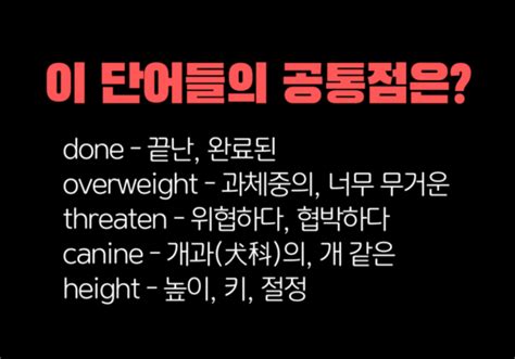 이 숫자 패턴의 규칙을 찾을 수 있나요 🔢 천재만 풀 수 있는 문제 퀴즈에브리띵 상식퀴즈 사이트 넌센스퀴즈 사이트 심리테스트 사이트 추리퀴즈 사이트 두뇌