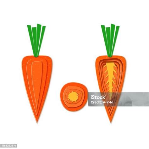 종이 컷 오렌지 당근의 집합입니다 벡터 종이 컷 디자인 식품 포장의 디자인에 대한 전체 익은 당근 과 슬라이스의 형태로 벡터 그림입니다 종이 아플리케 Vegitable 종이