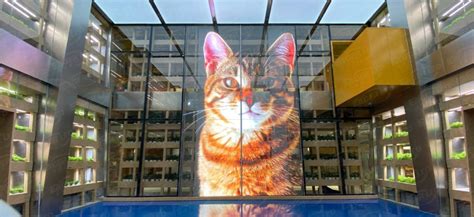 透明led屏 來自中國的透明led顯示屏