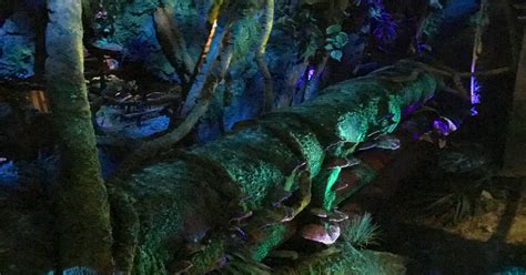 10 Insane Details In The Avatar Flight Of Passage Queue Parkeology