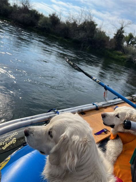 Softwareengineering Softwaredesign Dataengineering Data Matt Florian