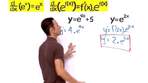 Exponential Functions Vividmath