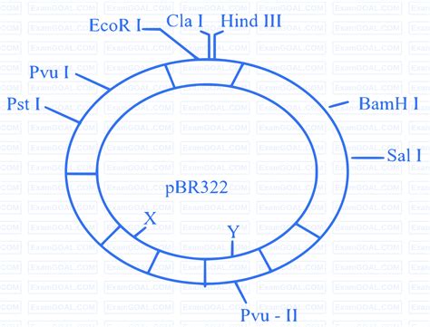 Neet 2024 Biotechnology And Its Applications Question 8 Biology