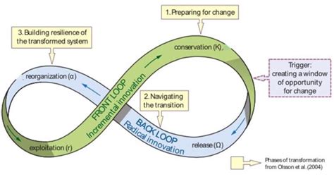 Hollings Loop Modified From Olsson Et Al 2004 Download