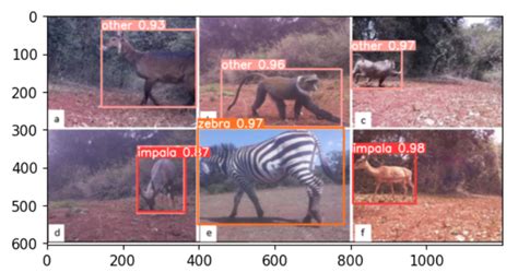 Dsail Developing A Low Cost Raspberry Pi Based Camera Trap For