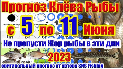 Прогноз клева рыбы на Эту неделю с 5 по 11 Июня Календарь клева рыбы Лунный календарь рыбака