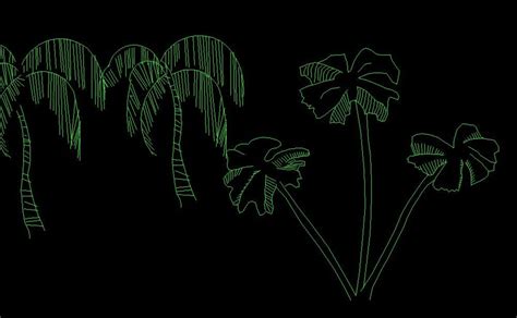 Coconut Palms Trees Plant Front View Elevation 2d Dwg Block For Autocad • Designs Cad
