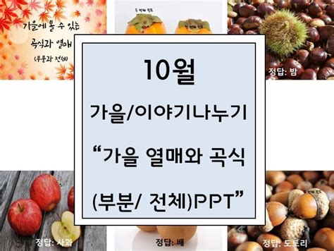 가을 이야기나누기 가을열매와 곡식 네이버 블로그 가을 곡식 가을 미술