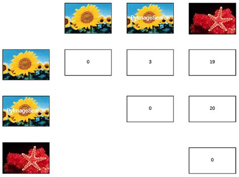 Building An Image Hashing Search Engine With VP Trees And OpenCV PyImageSearch