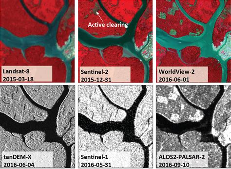 Mangroves And Remote Sensing A Perfect Match