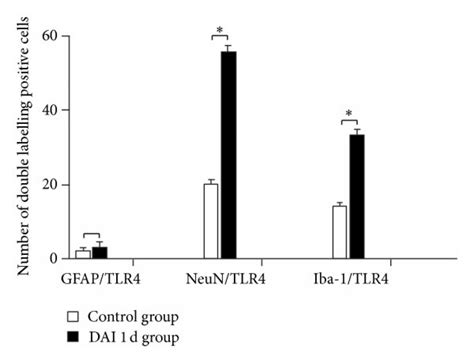 Localization Of Tlr4 In Different Cell Types After Dai A C Double
