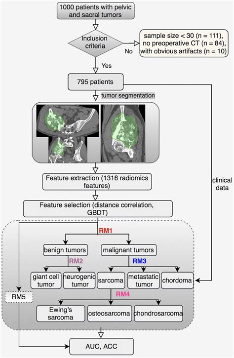 Figure 1 From Radiomics Models For The Preoperative Prediction Of