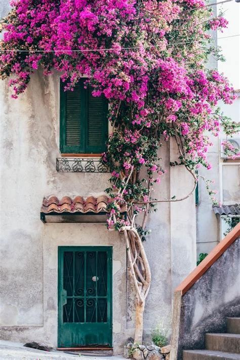 Pin By Fara193 On Flower Italy Photography Italian Doors Fine Art