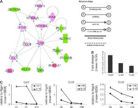Ingenuity Pathway Analysis Of The Differentially Regulated Genes By Download Scientific Diagram