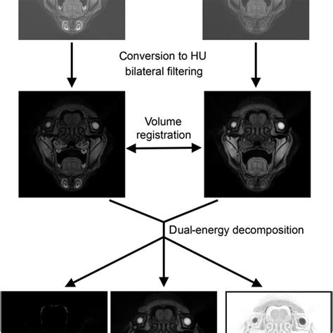 Workflow For Microscopic Dual Energy Ct Microdect Imaging And Download Scientific Diagram