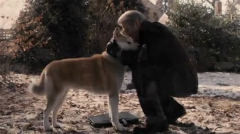 忠犬八公的故事 视频