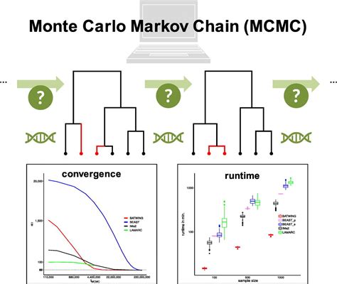 Comparison Of Markov Chain Monte Carlo Software For The Evolutionary