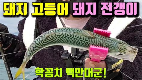 여기 포인트 완전 미쳤어요주차후1분 생활낚시포인트 차박캠핑까지 Youtube
