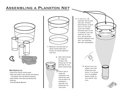 Diy Plankton Net — Betsy Franco Feeney
