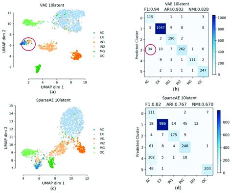 Feature Embedding And Clustering Of Vae And Sparseae Of The Embedded