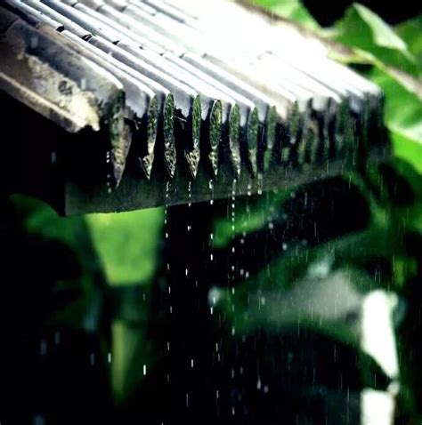 听雨图片欣赏雨夜听雨图片倚窗听雨图片欣赏大山谷图库