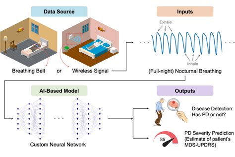 Artificial Intelligence Model Can Detect Parkinsons From Breathing Patterns Mit News