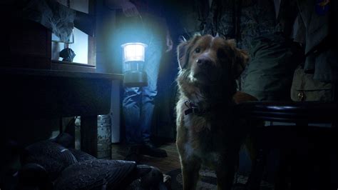 Good Boy Trust His Instincts Kritik Film 2025 Moviebreakde