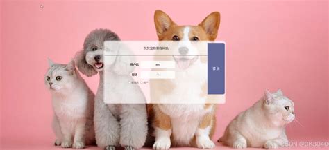 Jsp灰灰宠物美容网站ppd9n程序源码数据库调试部署开发环境 Csdn博客