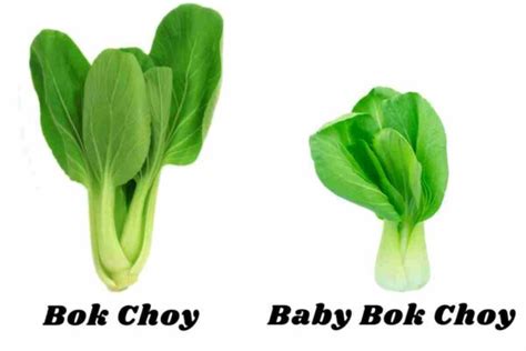 Bok Choy Soup With Mushrooms And Rice Noodles 15 Mins Joyful Dumplings