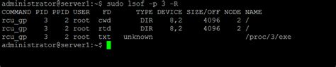 Linux Lsof Command Tutorial For Beginners 15 Examples Kirelos Blog