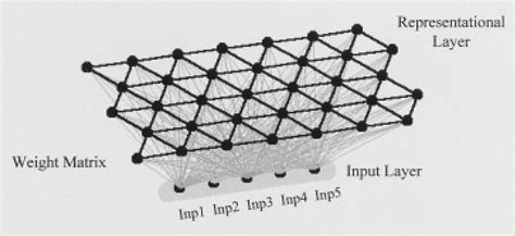 Architecture Of The Learning Vector Quantization Self Organizing Map Download Scientific
