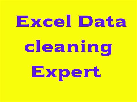 Microsoft Excel Expert Data Cleaning And Formatting Service Upwork