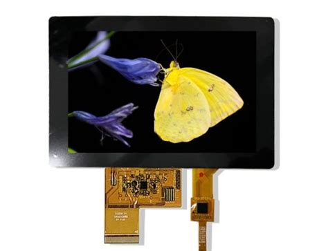 2 1 IPS 400 400 Round TFT LCD Display With CTP LCD Display Manufacturer Since 1990s
