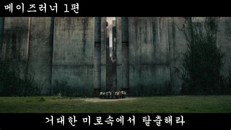 영화리뷰결말포함거대한 미로 속에 기억이 삭제되어 갇혀버린 아이들 그곳에서 탈출해야만 한다 메이즈러너1편 Youtube