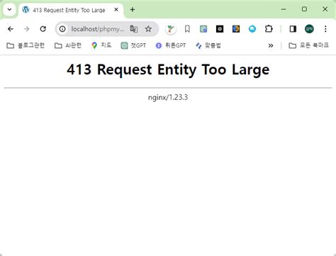 Nginx 413 Request Entity Too Large 서버에서 예상하지 않은 사부작 손프로