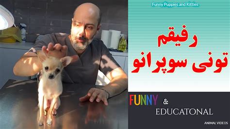 رفیقم تونی سوپرانو Youtube