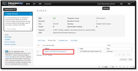 Subversion Server Edge的搭建与配置 Csdn博客