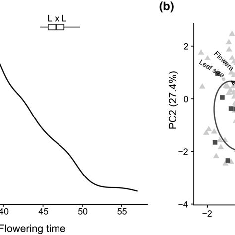Relationship Between Critical Photoperiod And A Flowering Time B Download Scientific