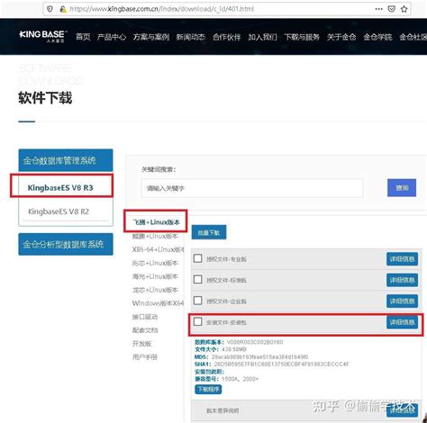 银河麒麟服务器操作系统v10 麒麟v10服务器上安装与运行人大金仓数据库 知乎