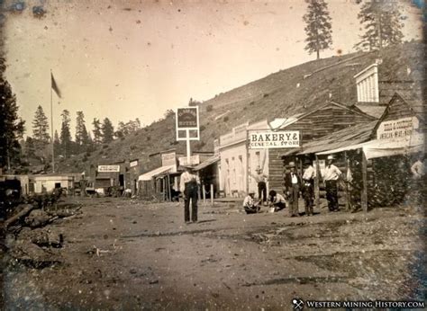 The California Gold Rush Western Mining History