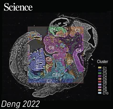 Spatial Epigenomics — Spatial Cutandtag — Atlasxomics