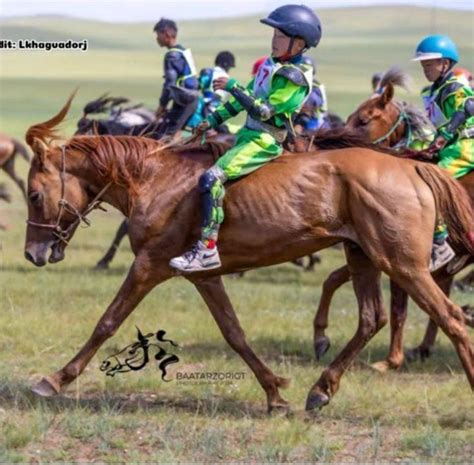 Төв аймгийн Баян сумын МУМУ Хэнгэрэгийн Цогтсайханы ‘Хамар цагаан хээр азаргаа Ардын хувьсгалын