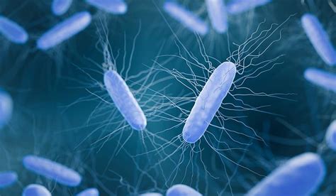 Tapered Vancomycin Dosing Reduces Cdi Recurrence Multidisciplinary Mims Singapore