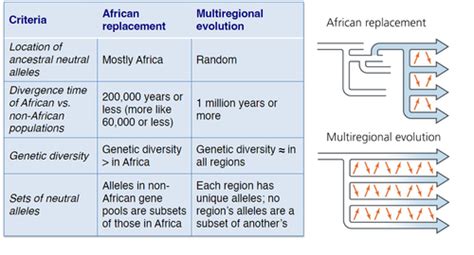 Evolution Ch 15 Flashcards Quizlet