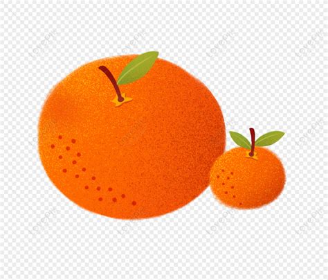 노란 귤 Png 일러스트 무료 다운로드 Lovepik