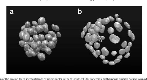 Figure 1 From Software Tools For 3d Nuclei Segmentation And Quantitative Analysis In