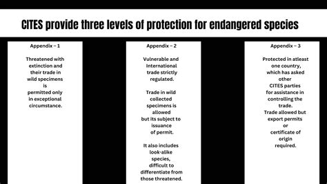 How Does Cites Regulate The Wildlife Trade