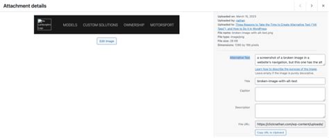 Three Reasons To Take The Time To Create Alternative Text Alt Tags And How To Do It In