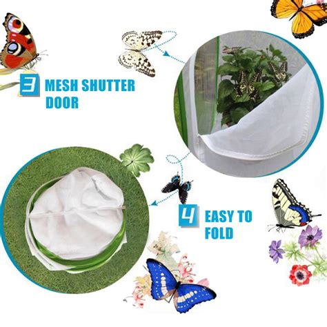 Insect Butterfly Kit Original Habitat Life Science Vicedeal