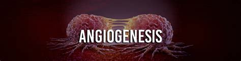 What Is Angiogenesis Medical Blogs